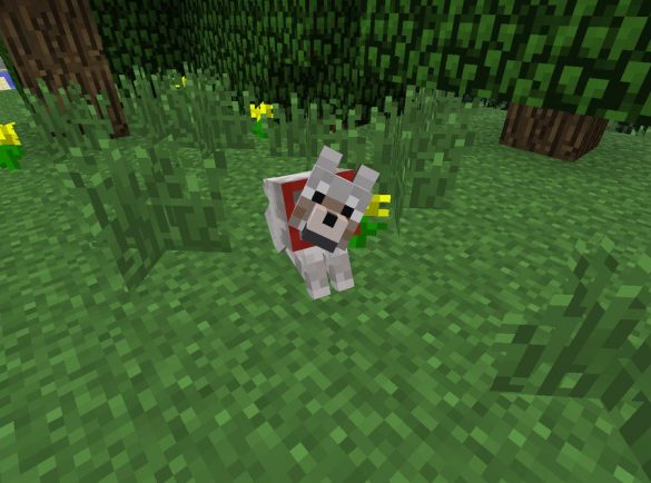 How to tame a Dog in Minecraft? – PlayerZon Blog